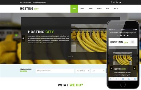 Digital Hosting A Web Hosting Flat Bootstrap Responsive Web Template