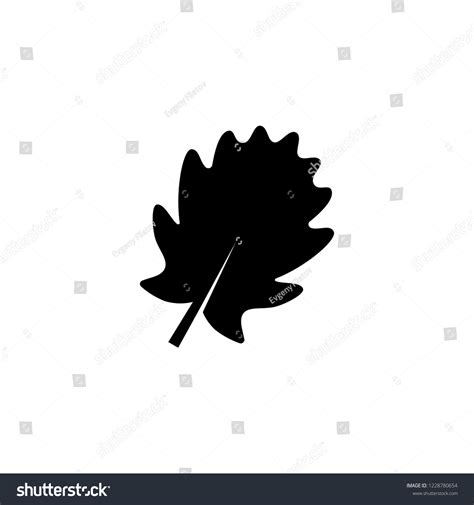 16 Pinnatifid Stock Vectors And Vector Art Shutterstock