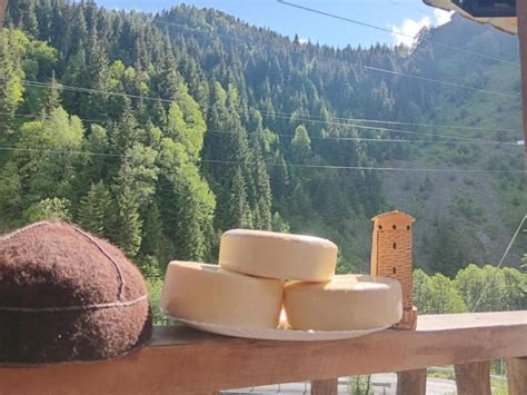 სოფოს ფერმა Facebook