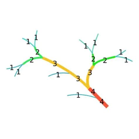 List Of Different Types Of Streams Facts And Pics Pond Informer