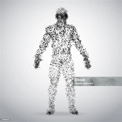 3d 와이어 프레임 인체 다각형 낮은 폴 리 인체에 대한 스톡 벡터 아트 및 기타 이미지 인체 로우 폴리곤 모델링 와이어 프레임 모델 Istock