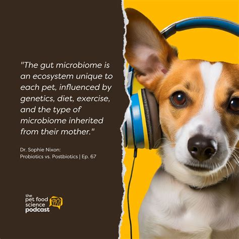 The Pet Food Science Podcast • By Wisenetix On Linkedin Explore The