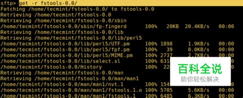 在 Linux 中使用 sFTP 上传或下载文件夹 百科全说