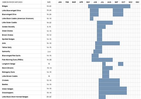 Gibbon River Fly Hatch Chart