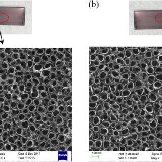 Surface Structure Of TiO Before And After Use A TiO Surface Download Scientific Diagram