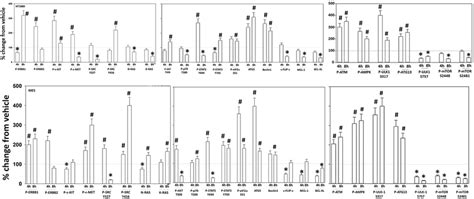 Regulation Of Signaling By [pazopanib Entinostat] In Human Sarcoma