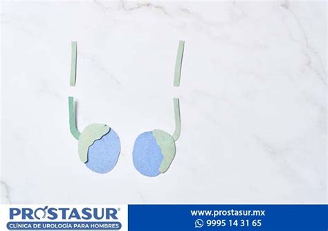 10 Preguntas Frecuentes Sobre La Vasectomía Prostasur