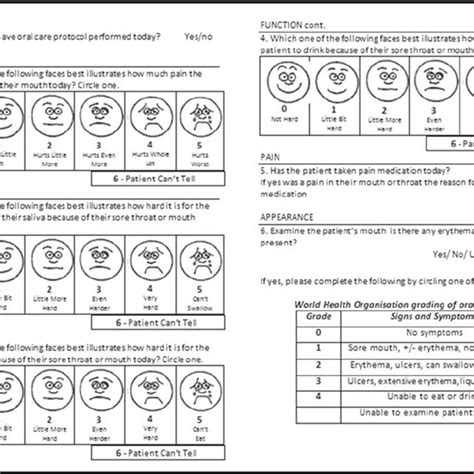 Pdf Implementation Of A Hospital Oral Care Protocol And Recording Of