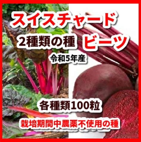 スイスチャード＆ビーツの【2種類 各100粒】の種★農薬栽培期間中不使用の種 By メルカリ