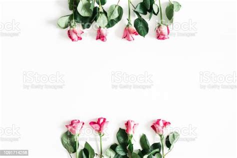 꽃 구성입니다 흰색 바탕에 분홍색 장미 꽃입니다 평면 위치 최고 보기 복사 공간 0명에 대한 스톡 사진 및 기타 이미지 0명