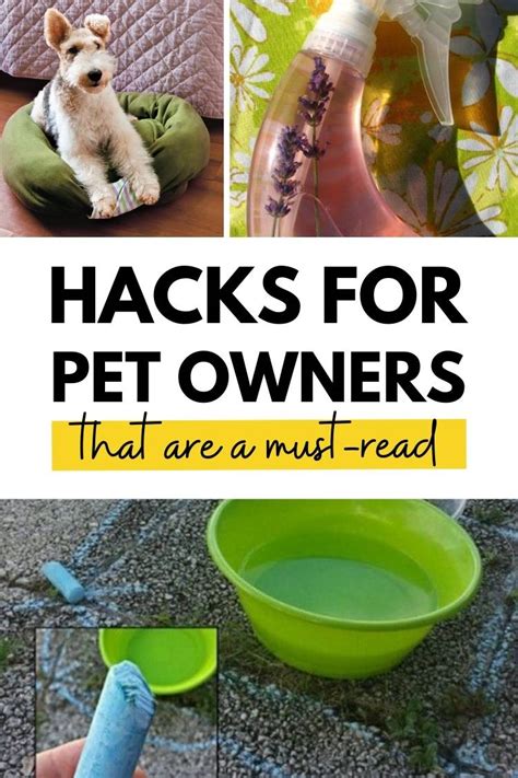17 Hacks Every Pet Owner Needs To Read