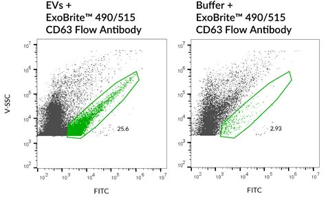 Exosome And Ev Labeling Biotium