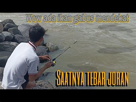 Bikin Iri Para Pemancing Sarang Ikan Diluar Dugaan YouTube