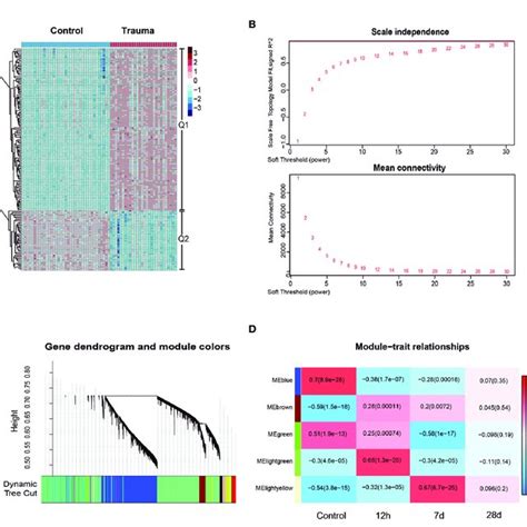 Gene Network Analysis Of Trauma Patients A Heatmap Of Processed