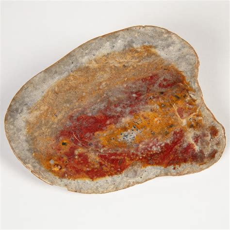 Geology Specimen Chert Slice Rock Sedimentary Wy 0000 1093 Ehive