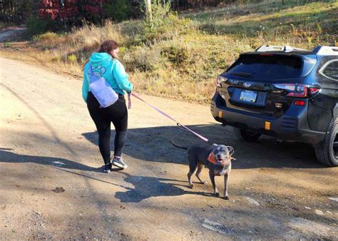 Woman Adopts Dog In Shelter 7 Years Because Of Pups Tie To Late Pet