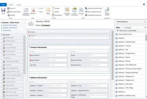 Guide To Entity Forms For Power Apps Portals In Dynamics 365 Encore