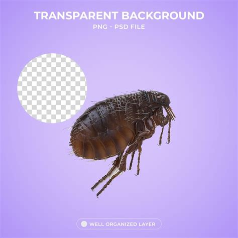 Premium Psd 3d Black Death Fleas And Lice Head