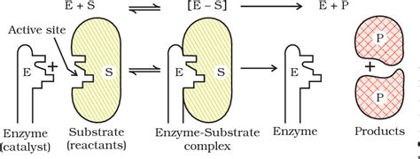 figure 5 4 from unit 5 pmd semantic scholar