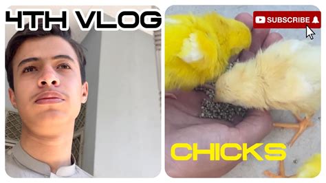 4th Vlog Youtube