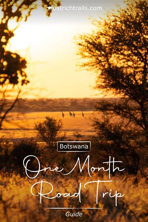 Experience The Best Of Botswana A Month Long Road Trip
