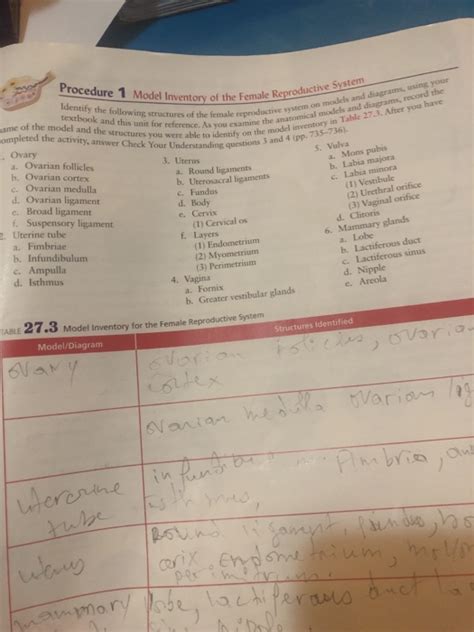 Procedure 1 Model Inventory Of The Female