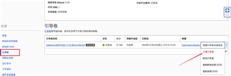 Oracle 甲骨文AMD ARM实例救援教程 CNBoy 四海部落
