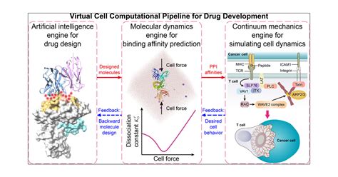 Applying Spatiotemporal Modeling Of Cell Dynamics To Accelerate Drug