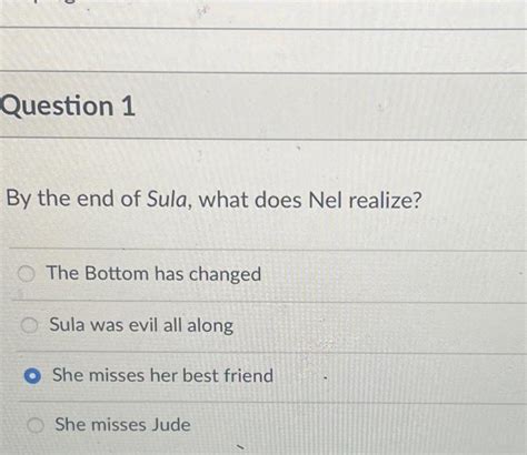 Question 1 By The End Of Sula What Does Nel Realize