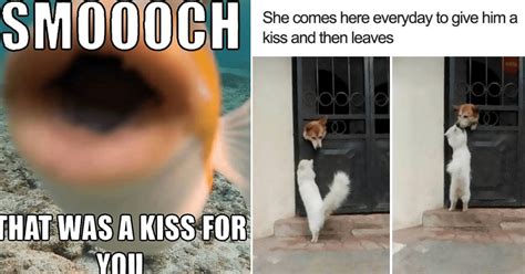 This Weeks Kissing Memes For The Slobbery Smoochers Out There October