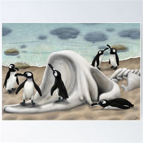 Spheniscus Megaramphus Poster For Sale By Jonathan Andrew Miron