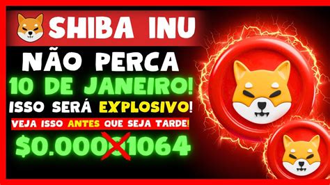 URGENTE SE PREPARE PARA 10 01 É MELHOR TER SHIBA INU ANTES DISSO