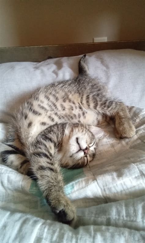 Coder King 2 Page 31 Arcade Microsoft Makecode