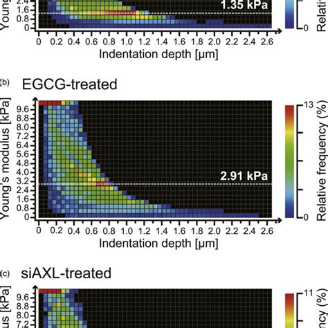 Color Online Stiffness Distribution Maps A Non Treated Condition