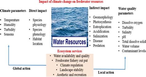 5 Overview Of Ecosystem Services And Direct And Indirect Effect Of