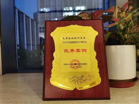 天津金城银行获奖！着力打造专注实体小微的数字普惠银行 知乎