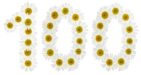 아라비아 숫자 100 카모마일의 흰 꽃에서 1 백 흰색 배경에 고립 0에 대한 스톡 사진 및 기타 이미지 0 교육 기념일