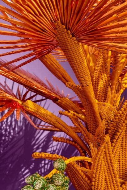 Any Colour Is Fair Game At The Haas Brothers Ferngully Exhibition