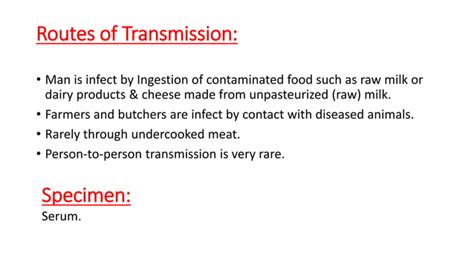 Brucella Test Rose Bengal Test Pptx