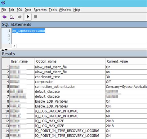 how to check sap iq database options