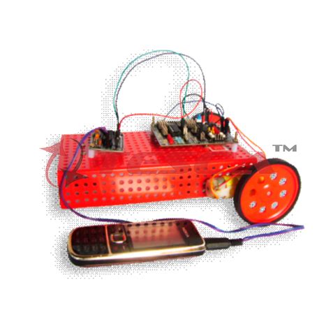Robot Ladybug Robot Kit