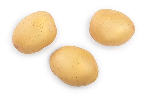 흰색 배경에 고립 된 젊은 감자 새로운 수확 맨 위 보기 플랫 레이 0명에 대한 스톡 사진 및 기타 이미지 0명 3가지 개체 가까운 Istock