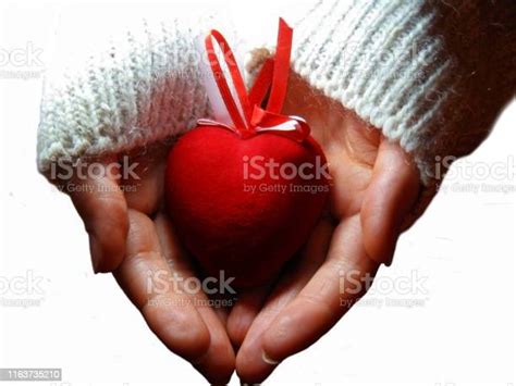 흰색 Baclkground에 여성의 손에 빨간색과 흰색 줄무늬와 빨간 마음 감각 지각에 대한 스톡 사진 및 기타 이미지 감각 지각 공휴일 관능 Istock