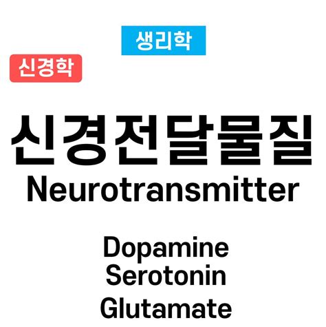 신경전달물질 도파민 세로토닌 글루탐산의 역할 Neurotransmitters Roles Of Dopamine