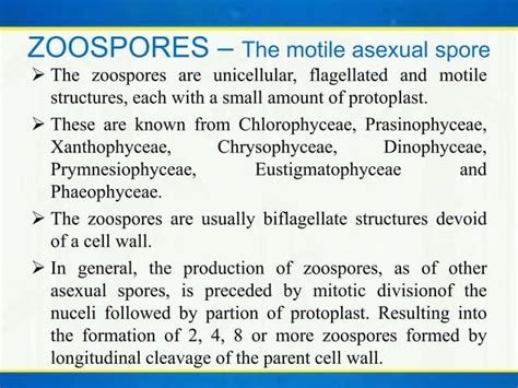 Reproduction Of Algae Vegetative Asexual And Sexual Reproduction Pptx