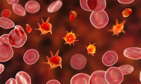 Itp Treatment In India