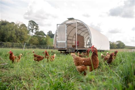 10x28 Mobile Free Range Chicken Coop Happy Farmer
