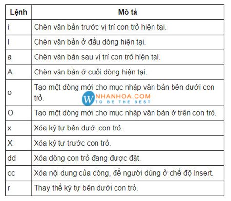 Lệnh Vi Trong Linux Các Câu Lệnh Từ Cơ Bản đến Nâng Cao