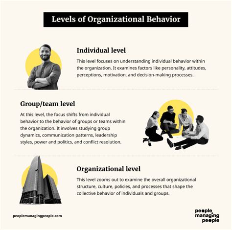 Level Of Organizational Behavior Infographic