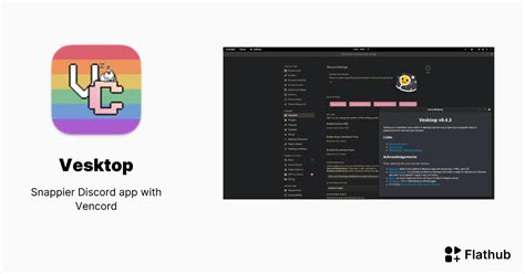 Install Vesktop On Linux Flathub
